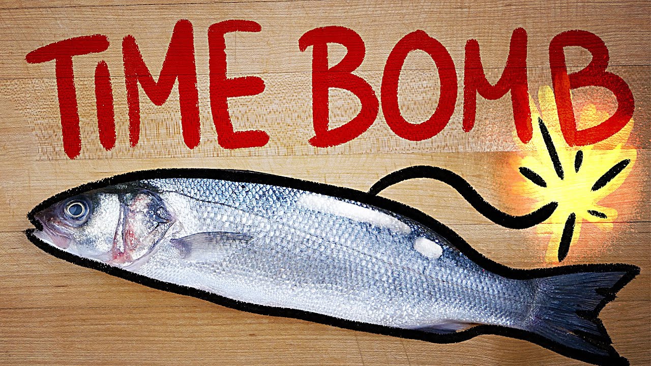 Why fish spoils so fast: Science-backed tips to keep seafood fresh!