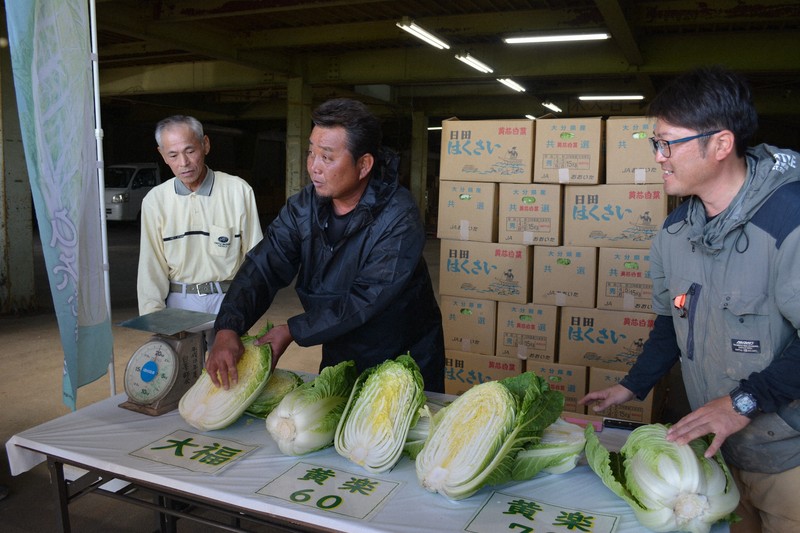 Easy Japanese news in translation: Shipments of Chinese cabbages begin ...