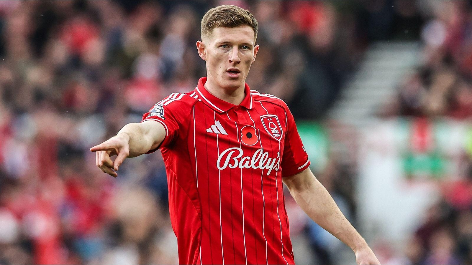 Man City push for Elliot Anderson transfer breakthrough - Notts Forest ...