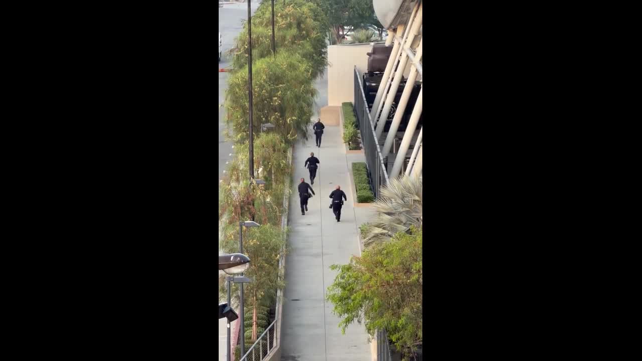 Suspect outruns multiple police in foot chase in Los Angeles, USA