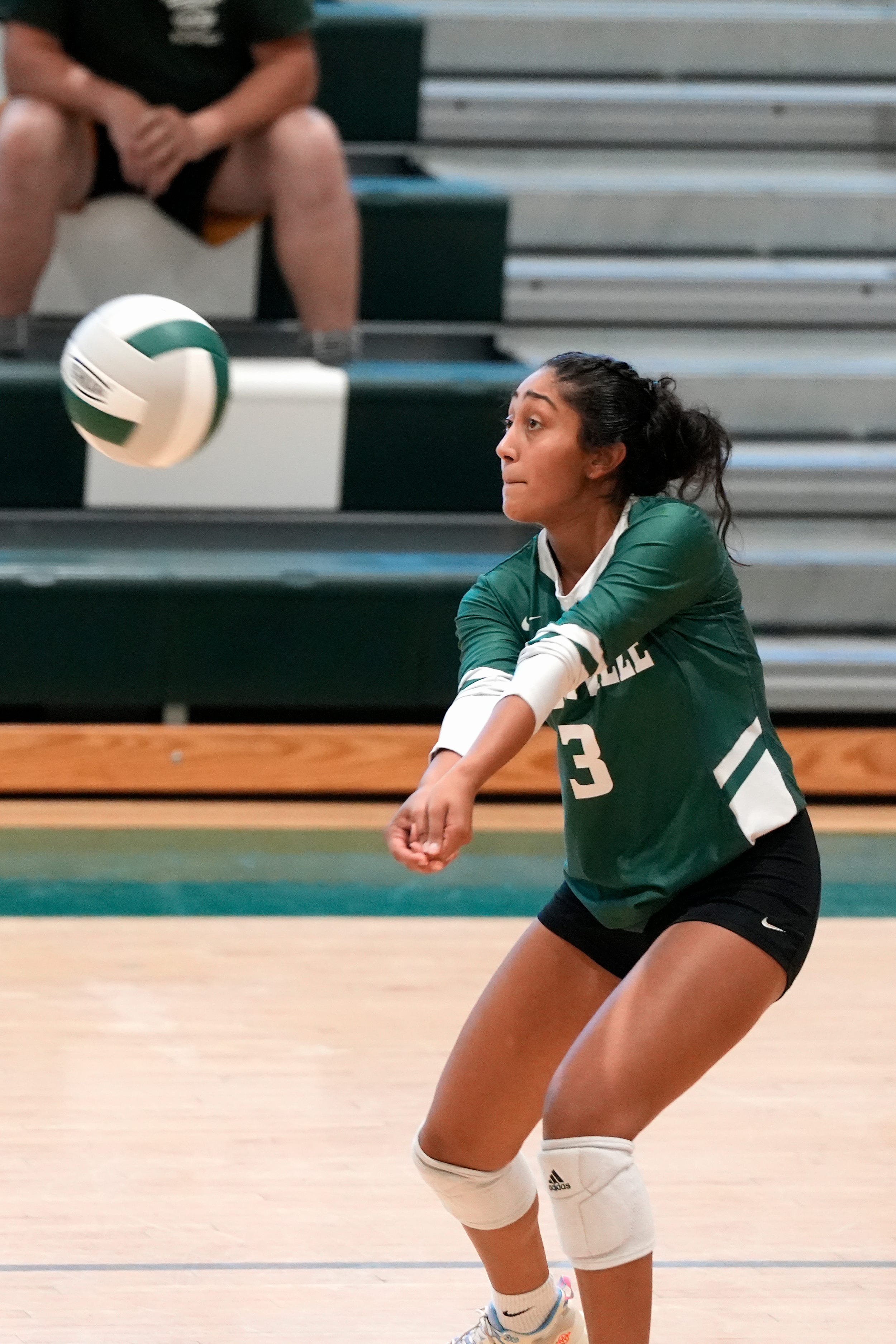 2025 Northwest Jersey Athletic Conference volleyball postseason honors