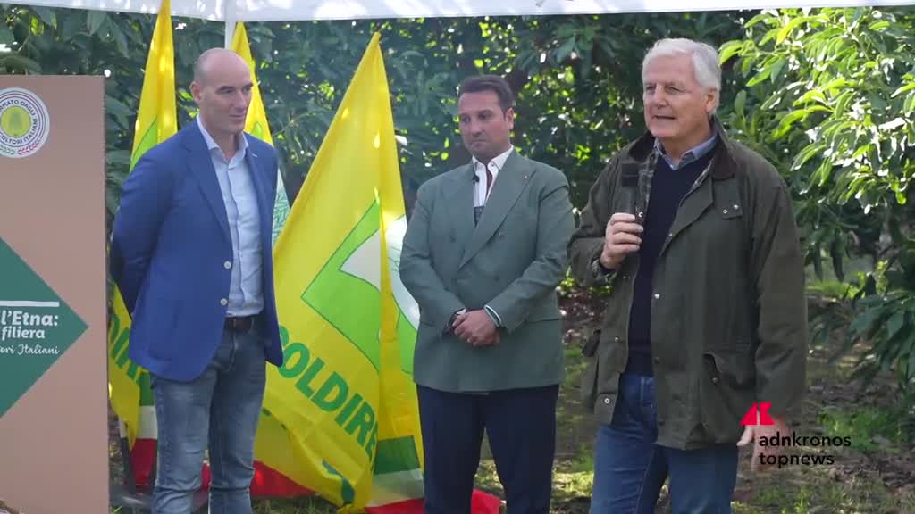 Agricoltura, Marangon (Fai): "L'Italia è diventata grande con le zone ...