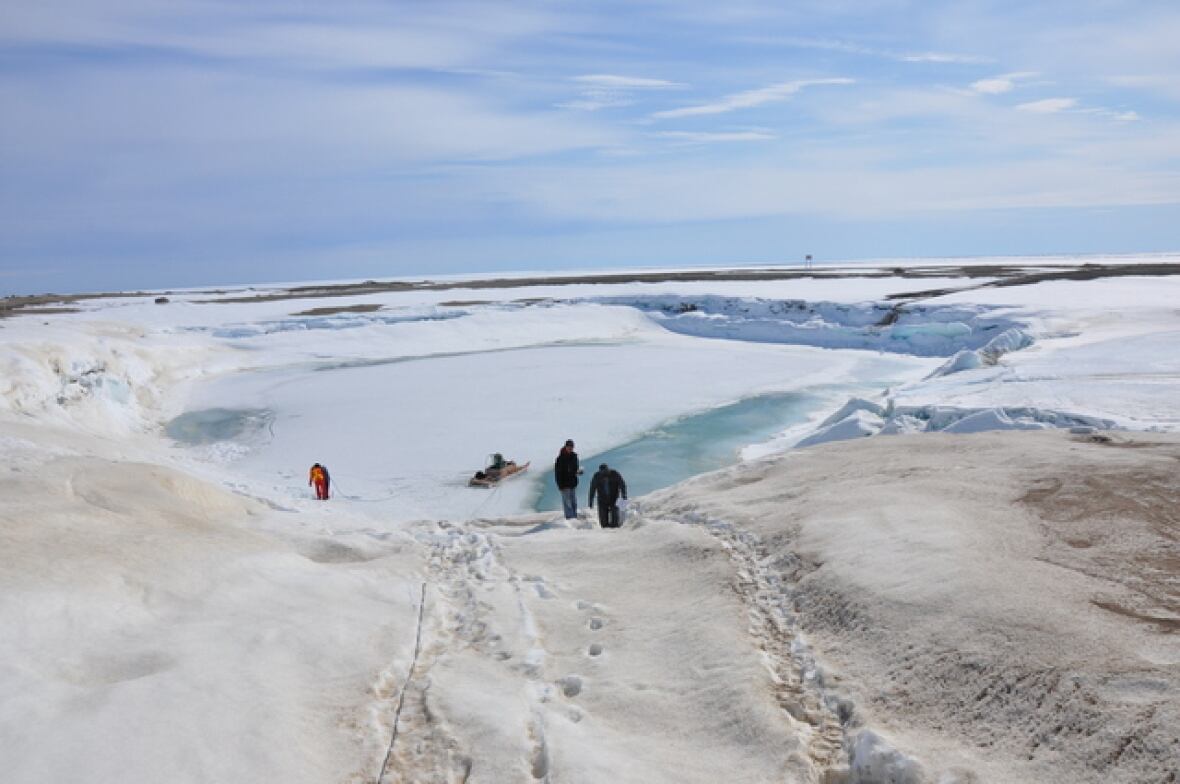 As permafrost thaws, a generations-old Inuit delicacy faces new risks