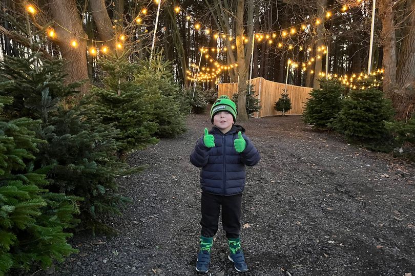 We visited 'Santa's Secret Forest' just outside Lancashire and it was ...