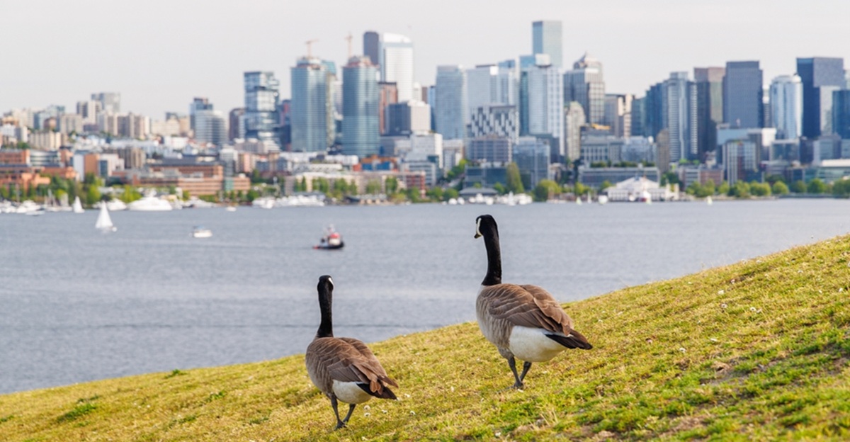 12 Best Things To Do in Seattle with Kids