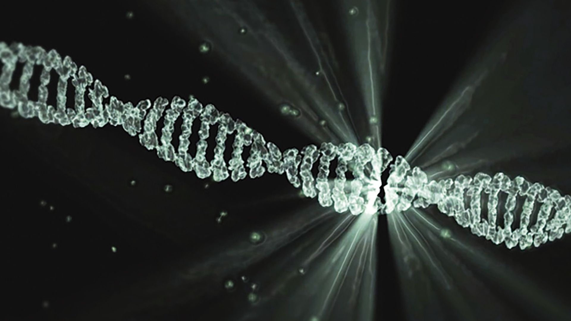 DNA analysis of modern Polynesians has completely rewritten our ...