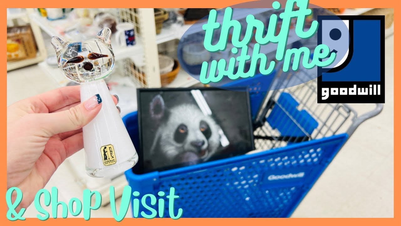 Glad I Didn’t Drive By GOODWILL | Thrift With Me & Behind the Scenes ...