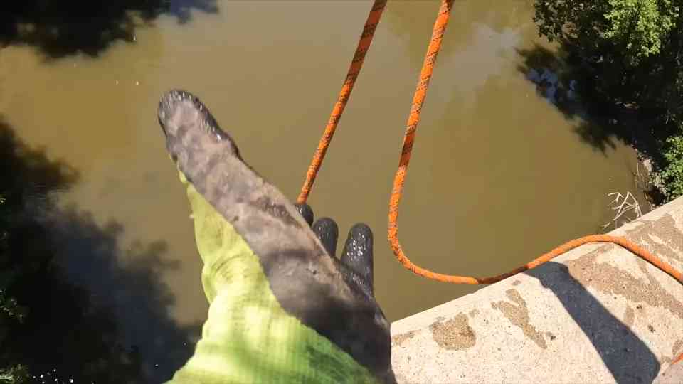 I never wanted to see this... magnet fishing dangerous city - stray dog ...