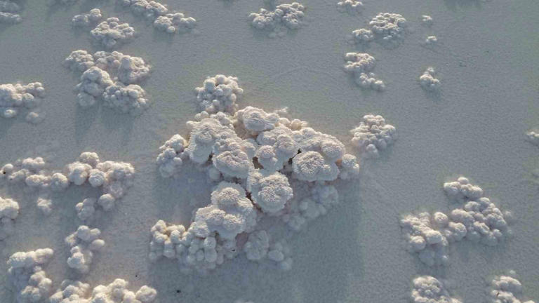 Emocionado, Pedro Ribeiro fala sobre Nuno Markl: "As primeiras 48 horas ...