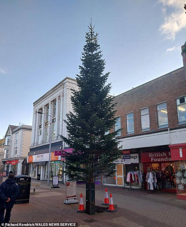 Residents slam 'Temu' Christmas tree 'that looks like it's been on the ...