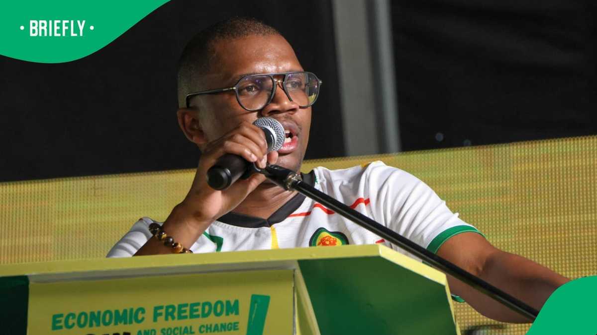Why the ANCYL suspended its president, Collen Malatji