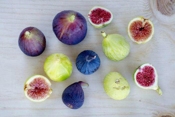 Gardening 101: Common Fig