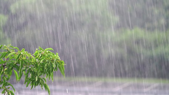 Landscapers share photos after creating beautiful solution to garden ...