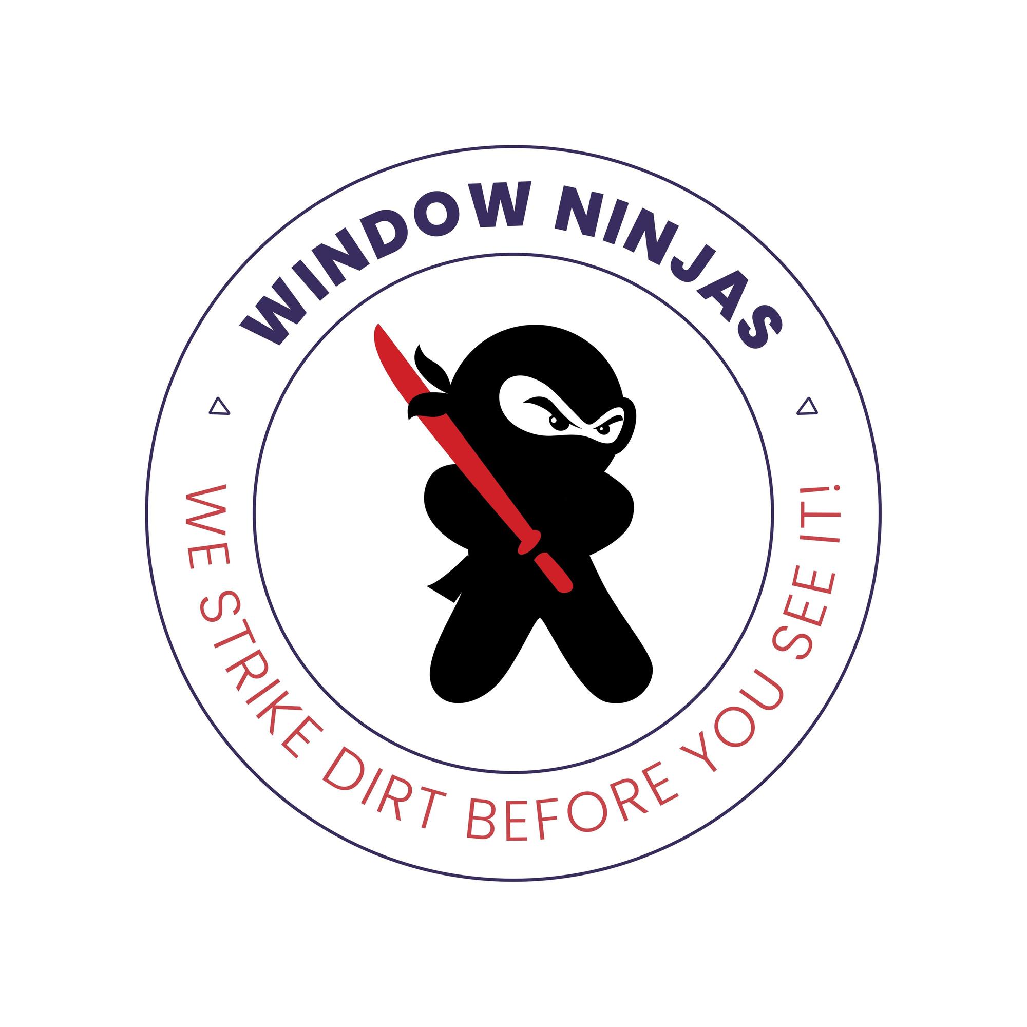 New business with a powerful mission: Window Ninjas turn personal ...