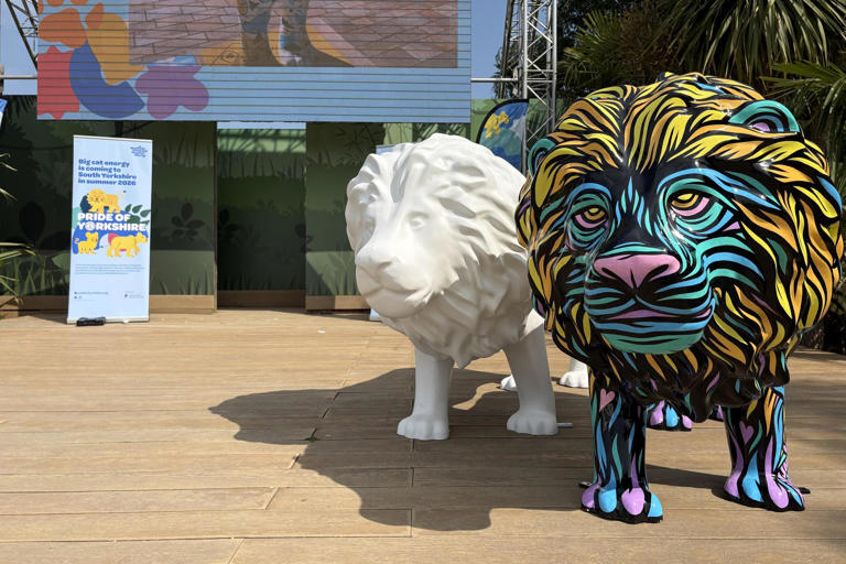 Roar-some Rotherham artists revealed for regional art trail