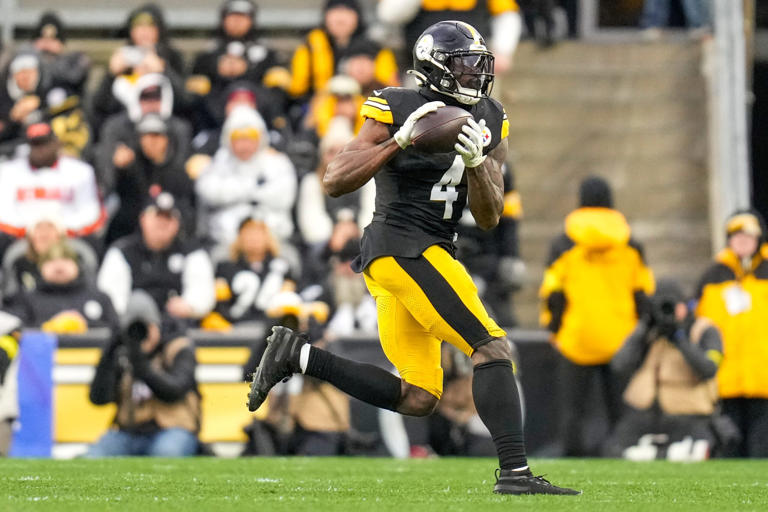 Super Bowl champion calls out Steelers’ DK Metcalf after tense fan ...