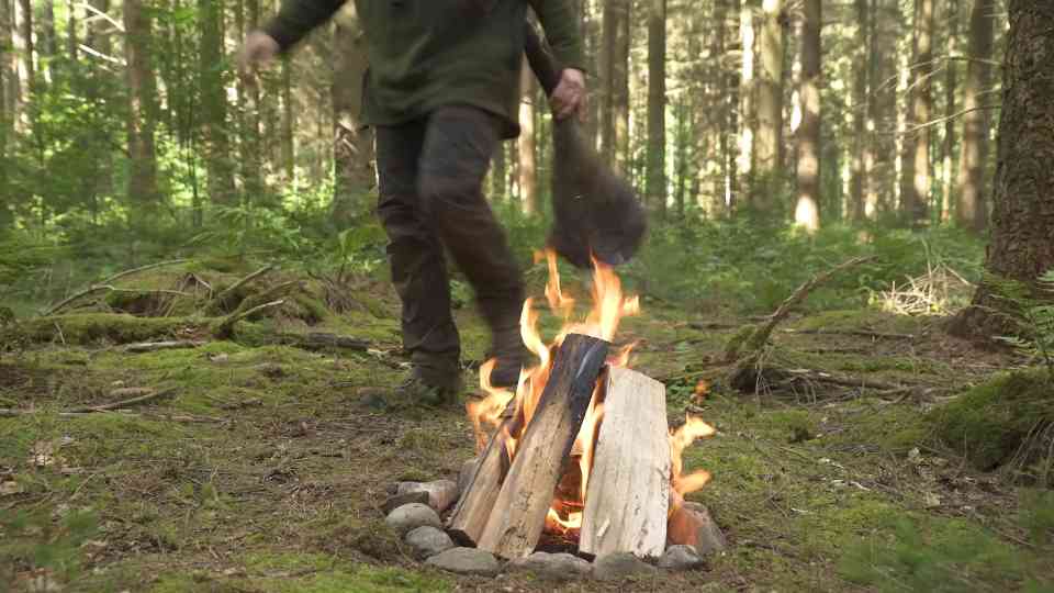 This Is the Ultimate Wild Pork Catch & Cook ASMR