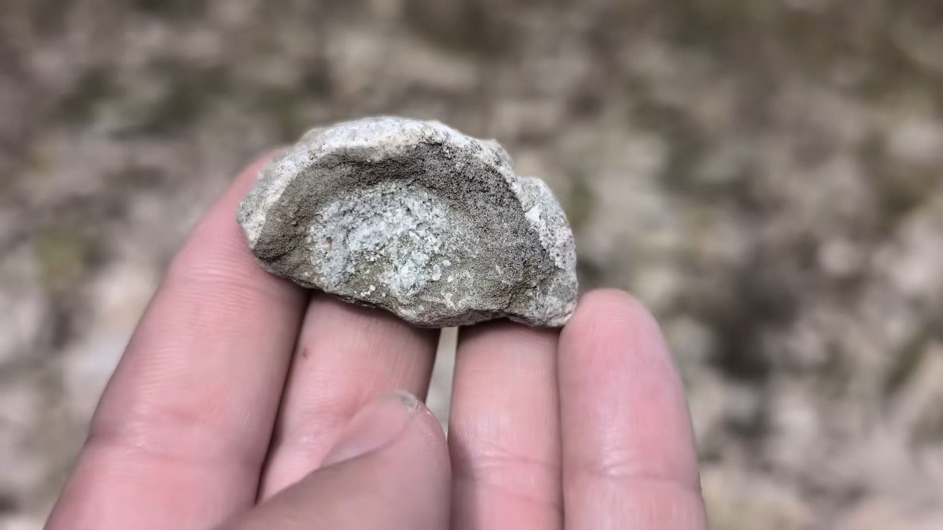 The beach was hiding ancient treasures beneath the waves