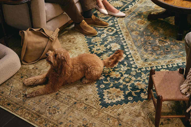 Ruggable's Black Friday Sale Is Finally Back, and the Washable Rug ...