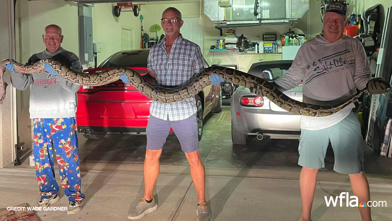Man finds nearly 12 foot python in Florida neighborhood