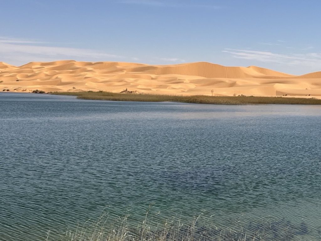 Escapade à El Menia, la destination la plus sous-cotée du Sahara
