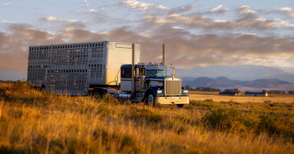 13 Things That Will Always Make Kansas Natives Think of Home
