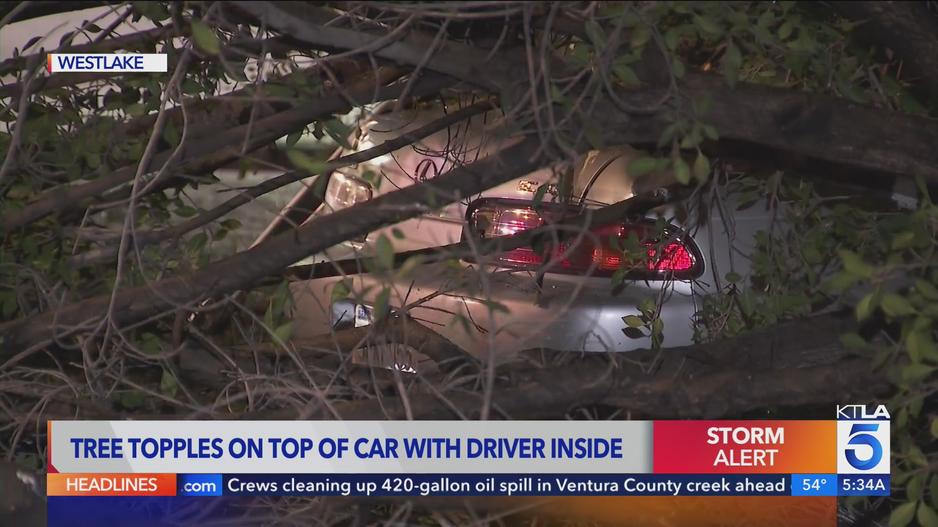 Motorist driving through Westlake hit by falling tree