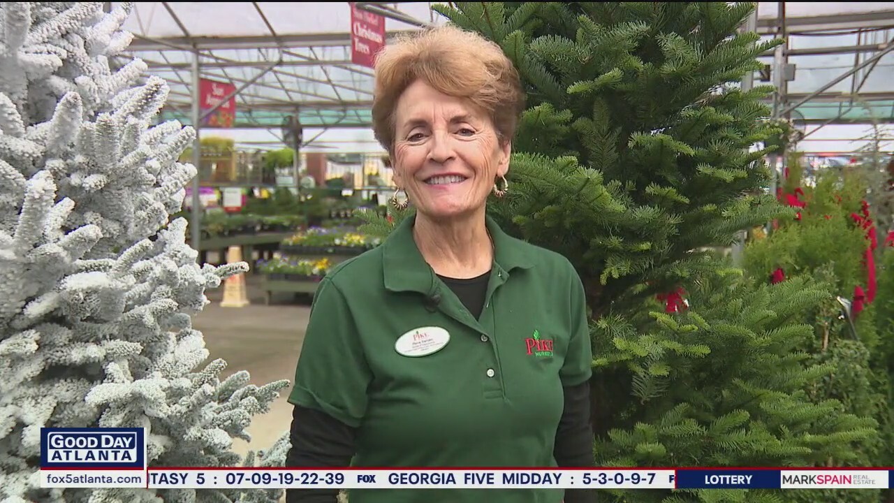 Pike Nurseries helps you pick the perfect Christmas tree: