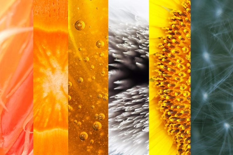 Can You Identify Everyday Objects By These Close-Up Pictures?