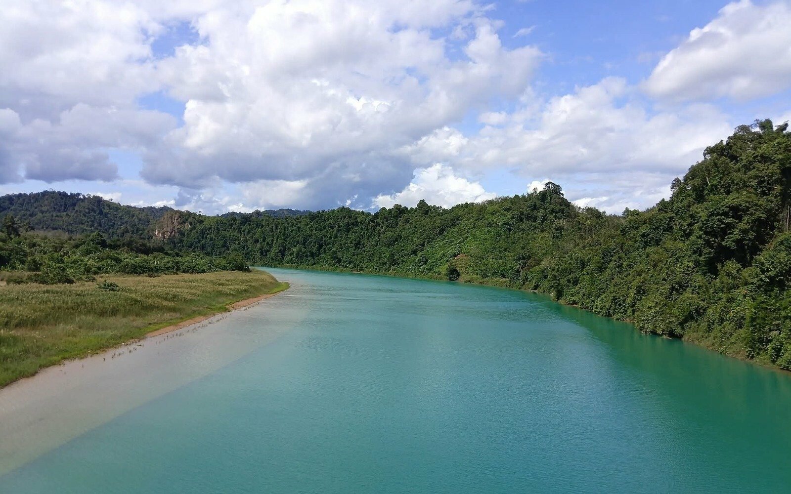 Greenpeace calls for probe after river changes colour