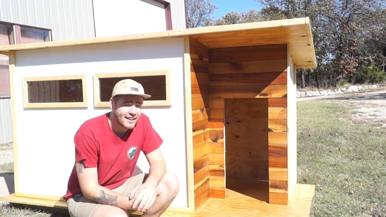 Building a stylish modern dog house on a budget