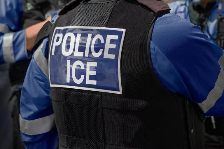 Inside ICE’s special HSI division where agents have same power as FBI