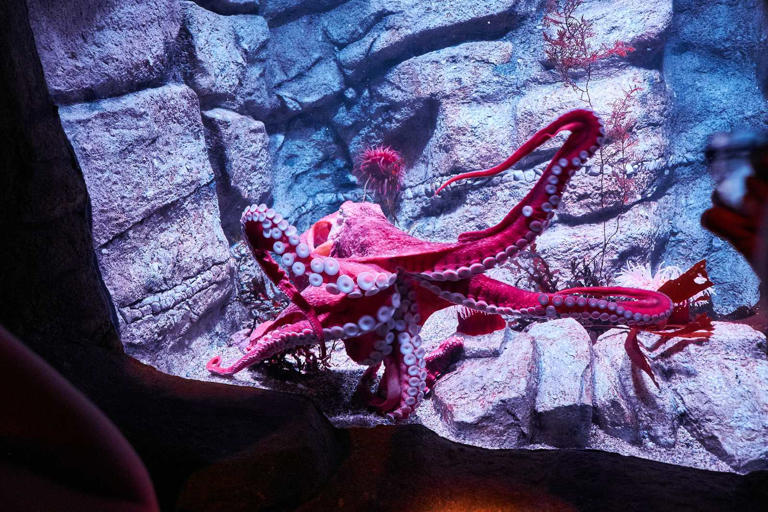 8 Discoveries That Started As Myths - But Turned Out To Be True