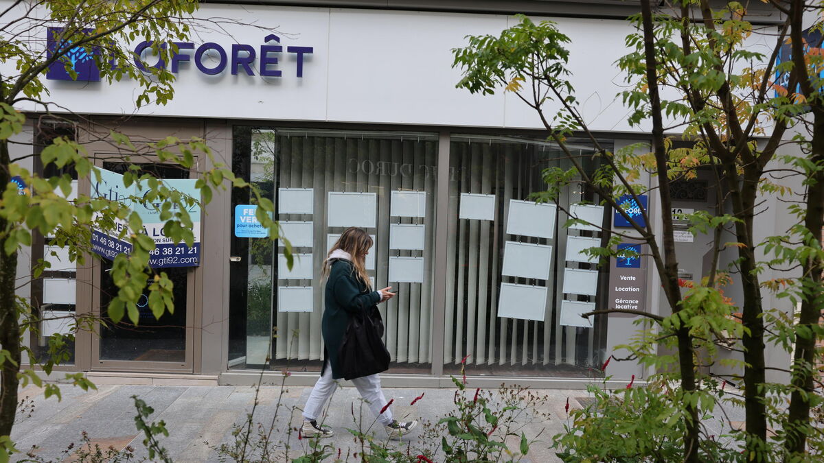 Immobilier, coiffure : ces secteurs qui sortent de la crise cet automne ...