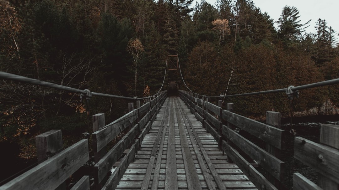 How Fear of Heights Turns Scenic Bridges Into Terrifying Obstacles