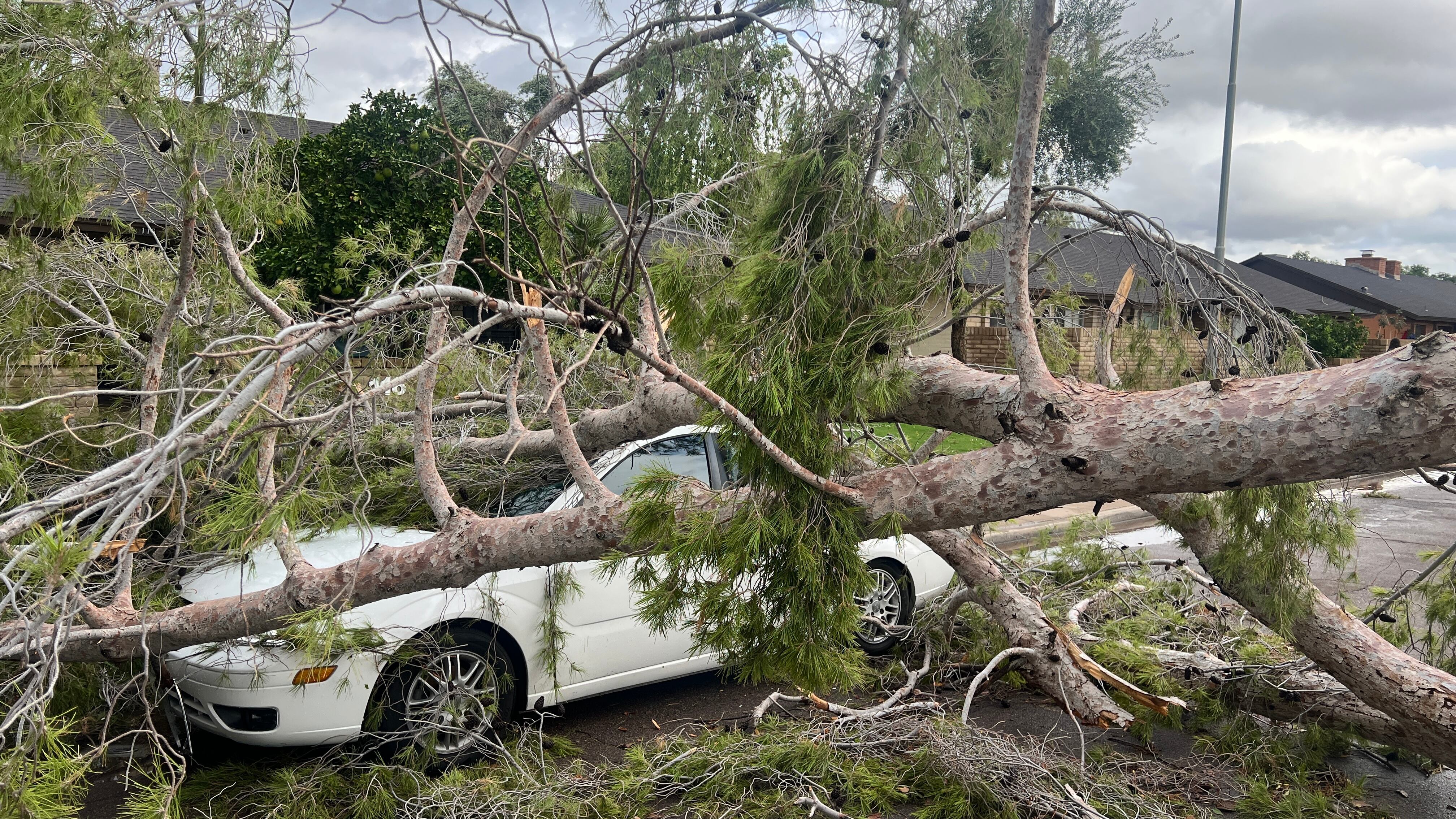 Tempe opens disaster recovery center for microburst victims