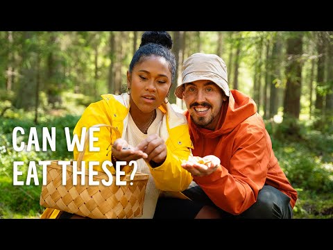 Searching for fresh wild food while exploring forests across Sweden