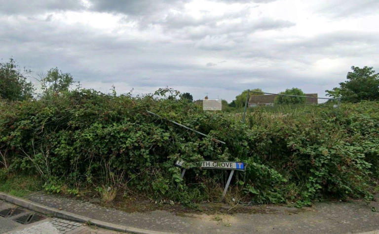 Planning applications in Canterbury, Herne Bay and Whitstable include ...