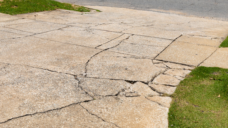 Is Your Concrete Driveway Crumbling? Here's Why And How To Fix It