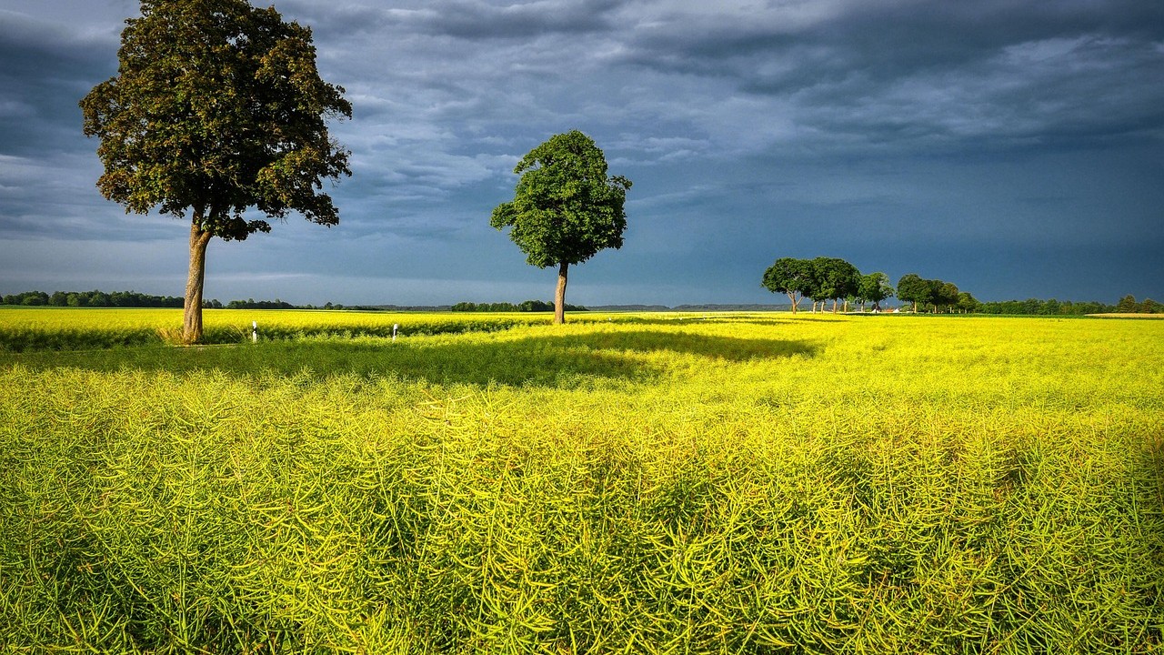 Why Seasons Change Every Year - Explained By Climate Experts