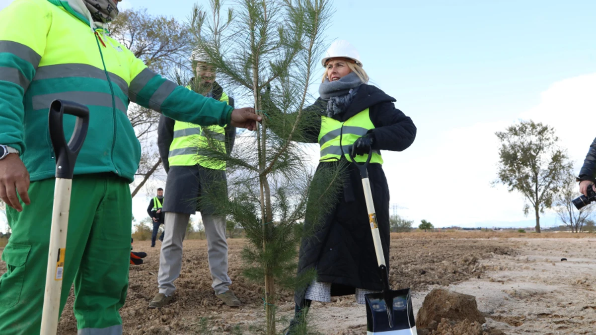 Llegan los primeros árboles del Parque Forestal Princesa Leonor, el ...