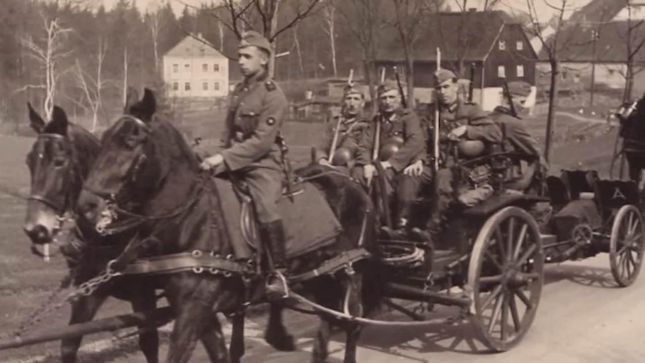 Barbarossa on Horseback: The 750,000 Animals That Carried Hitler’s ...