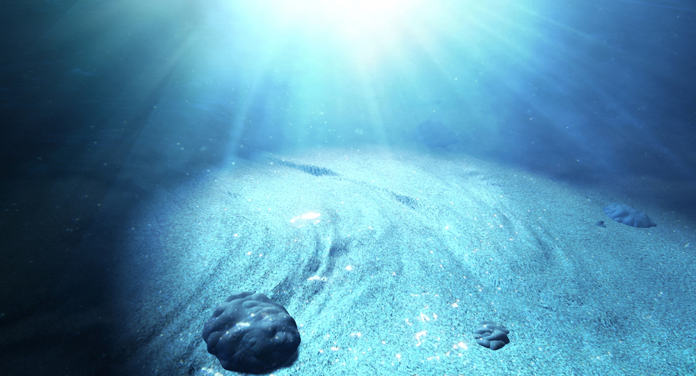 Weirdest Things Found in Deep-Sea Dives