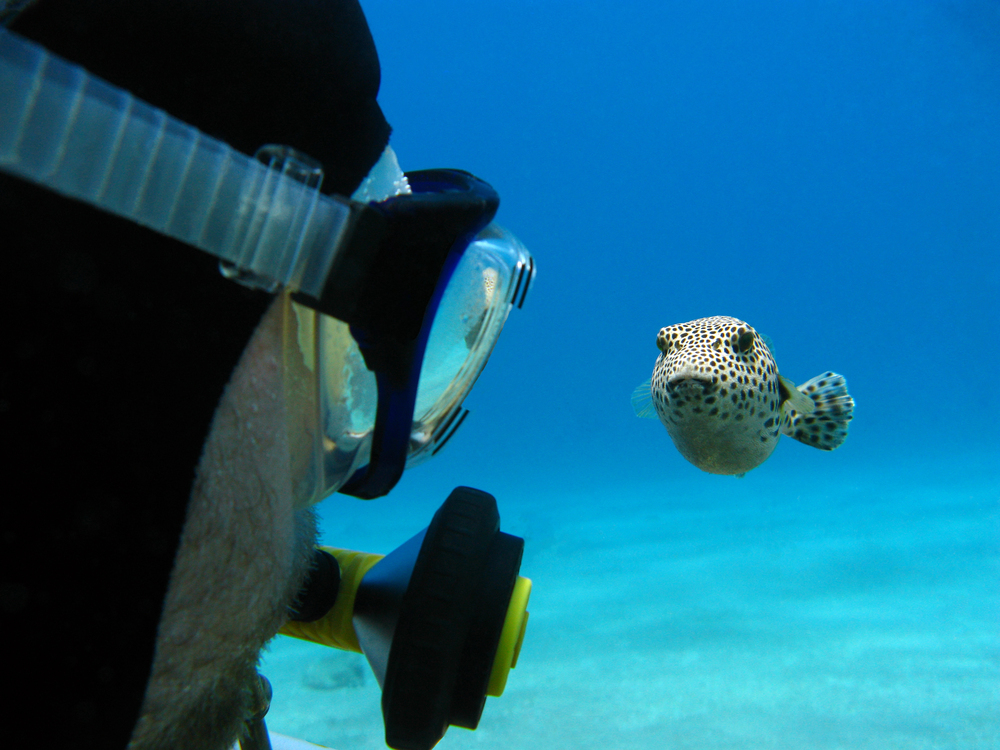 Weirdest Things Found in Deep-Sea Dives