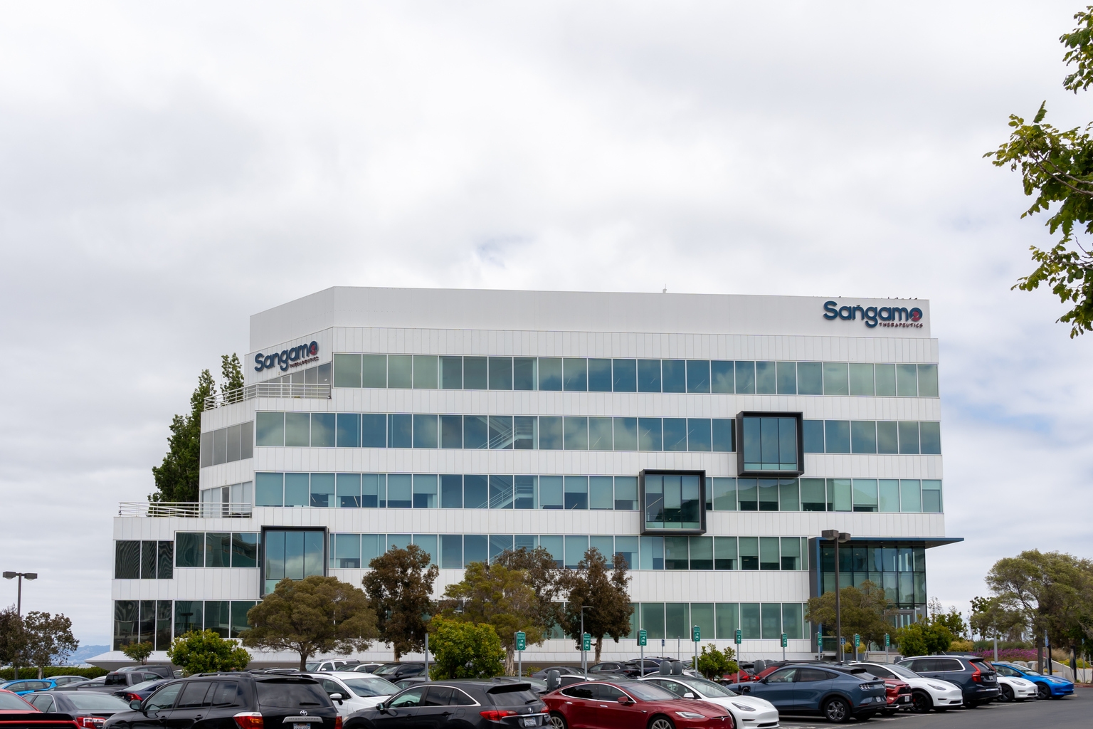 Sangamo rises as FDA accepts rolling submission request for gene therapy