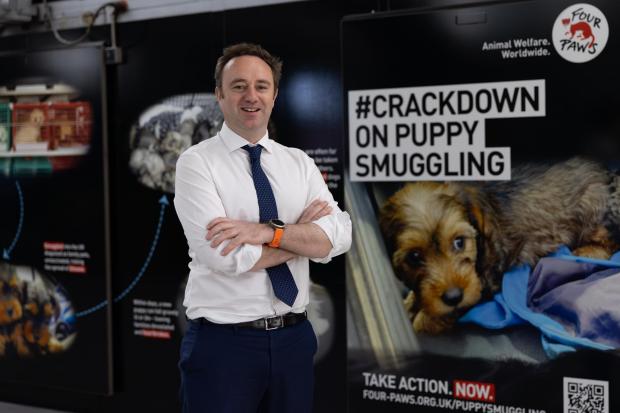 Man fears Winchester MP's new welfare bill will penalise those rescuing ...