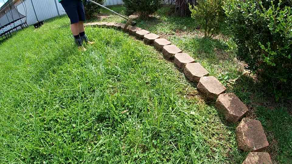 Cute German shepherd and satisfying tall grass mowing video