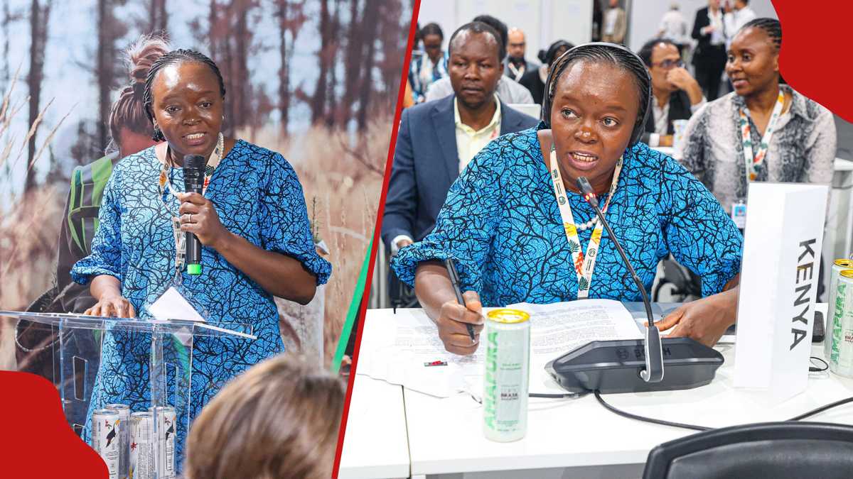 COP30: CS Deborah Barasa leads powerful climate diplomacy push ...