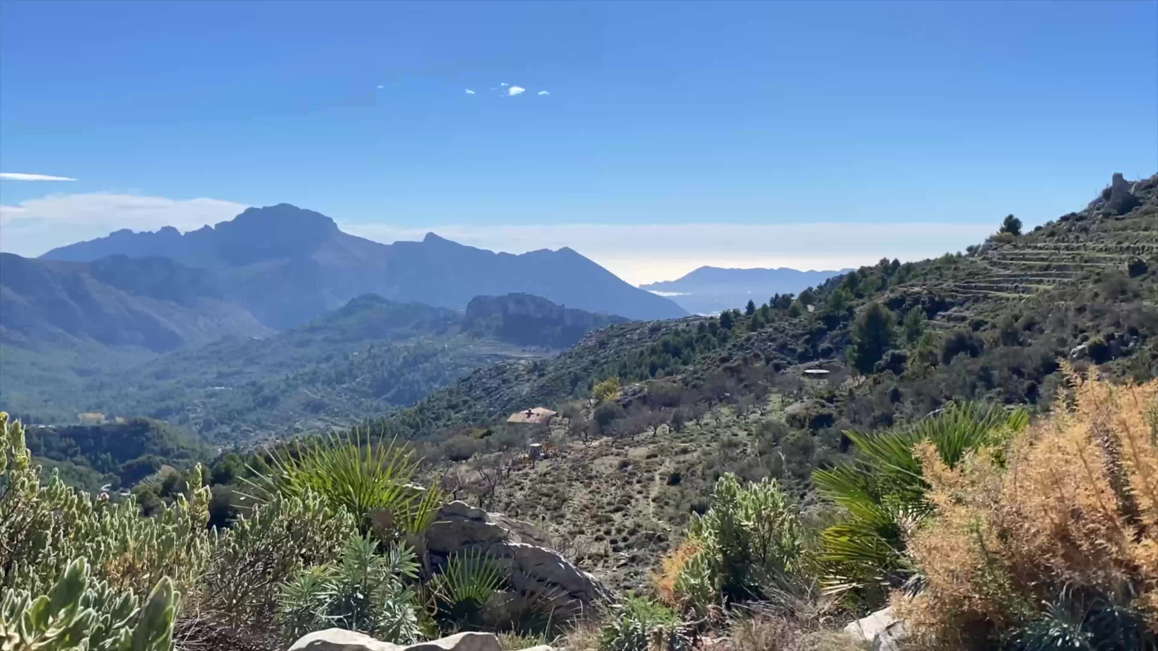 Off-grid homestead: Land transformation project