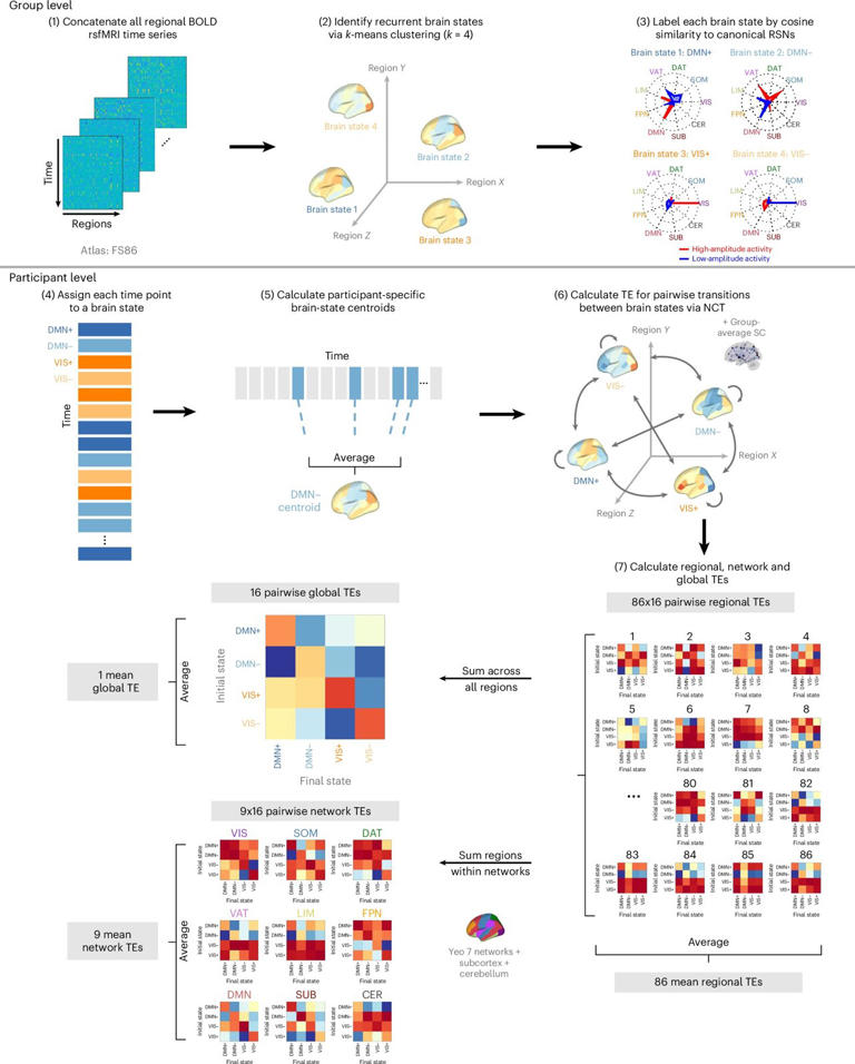Early brain differences may explain sex-specific risks for addiction